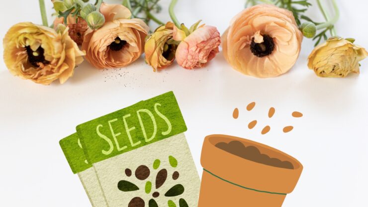 How To Make Plant Seed Party Favors - Sprout Some Fun
